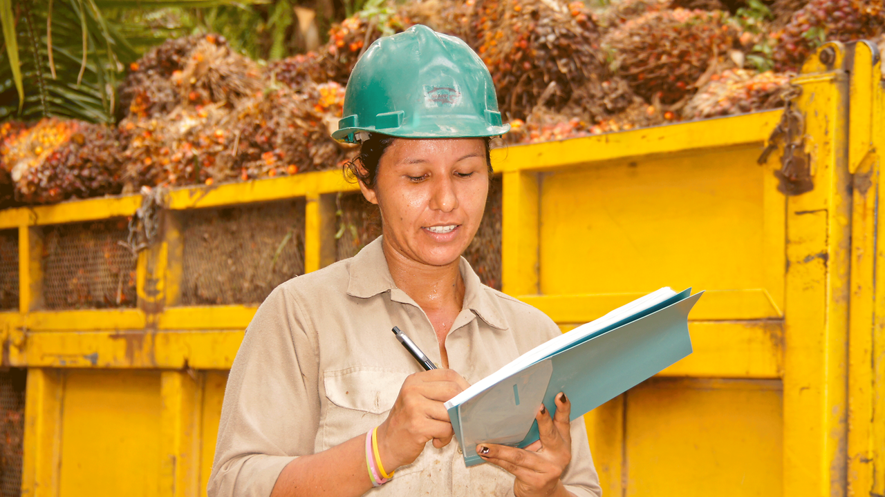 Palm oil: Zero deforestation with the help of new technology