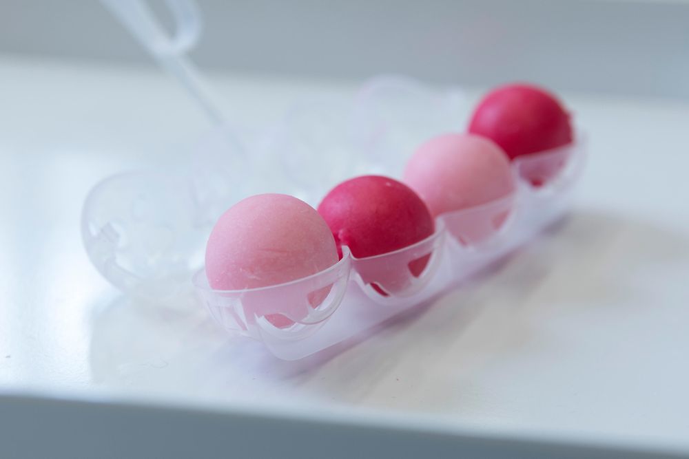 Success story Bref – innovations in the toilet care category